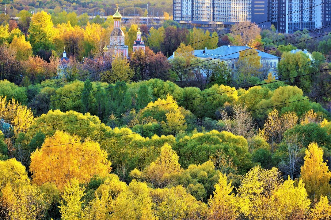 Москва. Цвета осени в фотографиях городских парков